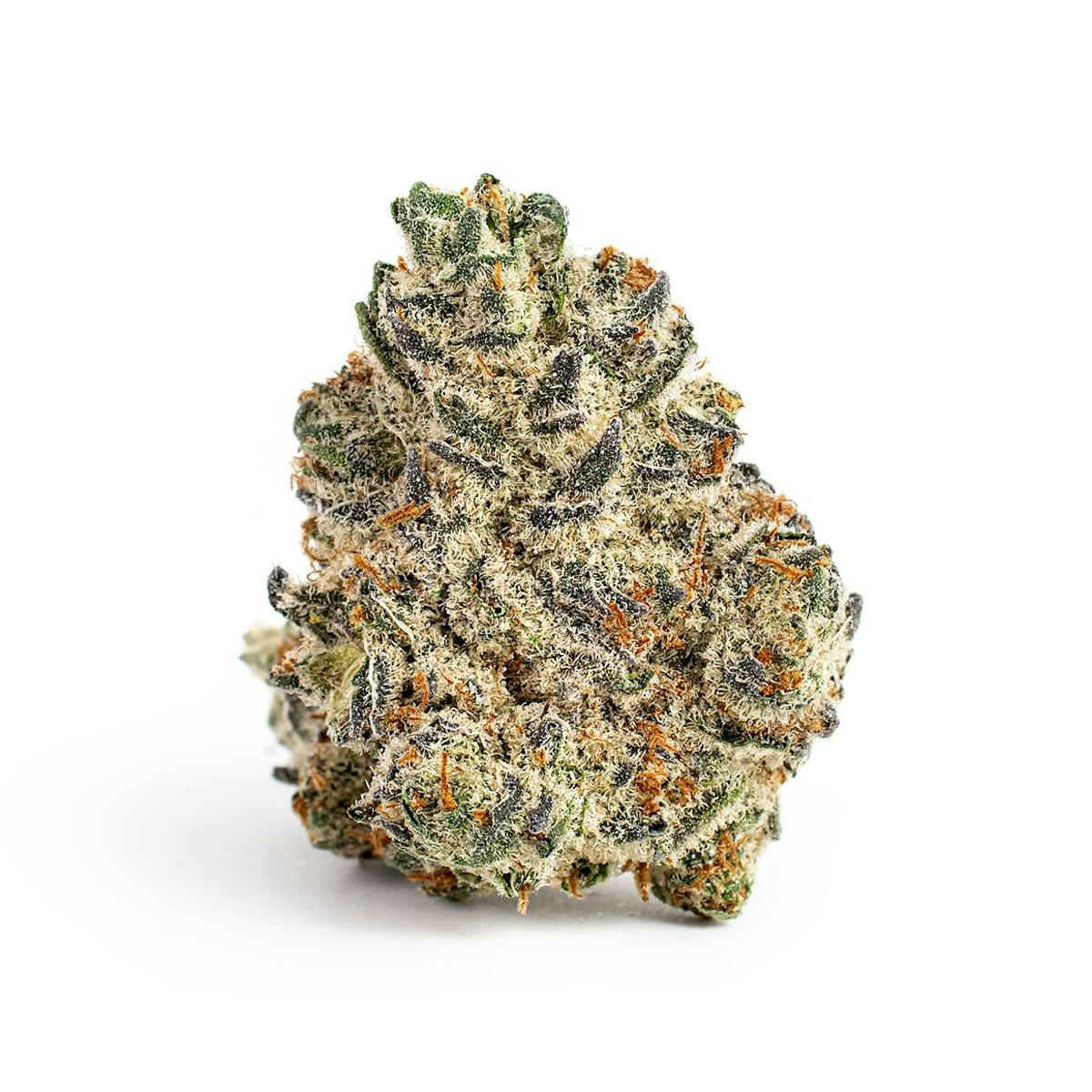 Oreoz THCa Flower – Indica 30.5% – Clara Jane Nashville